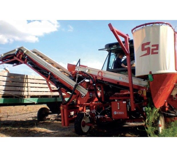 Récolteuse de carottes - S2TCMR - Machines Simon