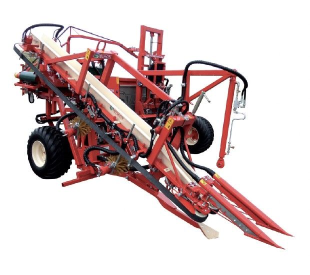 Récolteuse de carottes fanes en bottes - S3F - Machines Simon