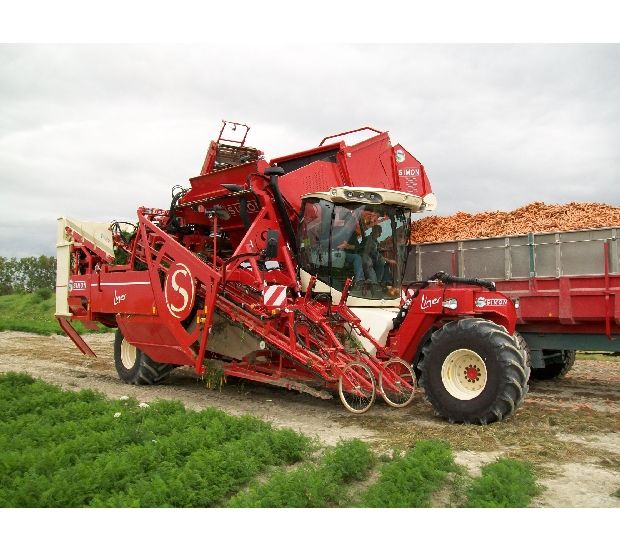 Carottes - Machines Simon