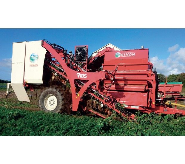 Récolteuse de carottes - RIB5 - Machines Simon