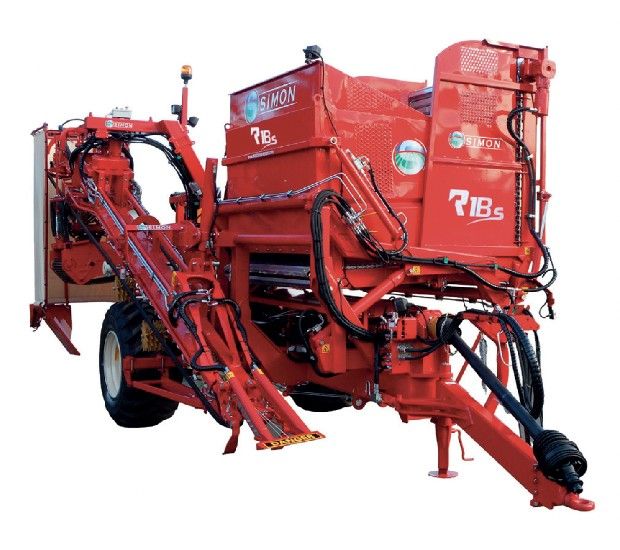 Récolteuse de carottes - RIBS - Machines Simon