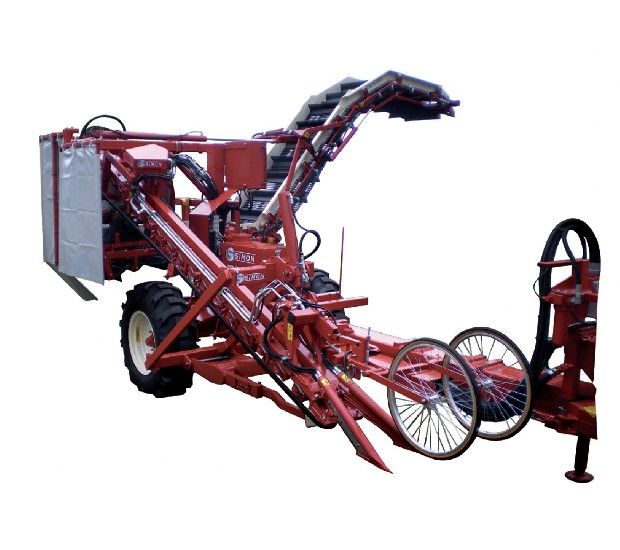 Récolteuse de carottes - RIDCMR/RITCMR - Machines Simon