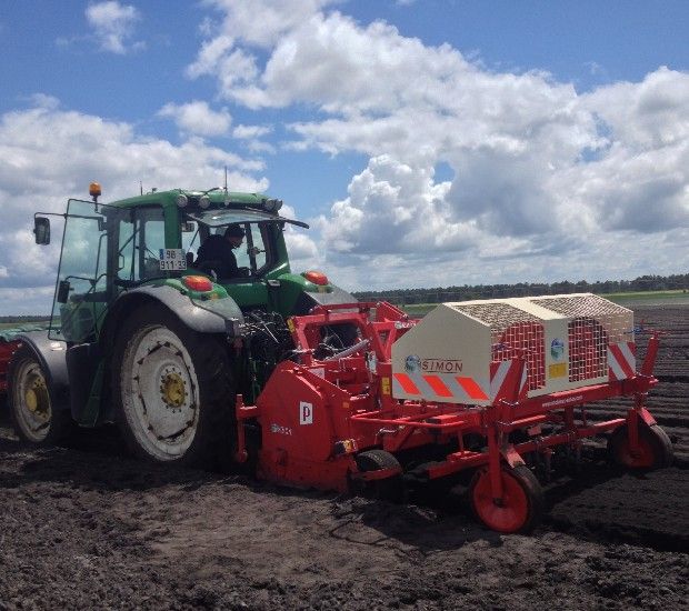 Plantation - Machines Simon